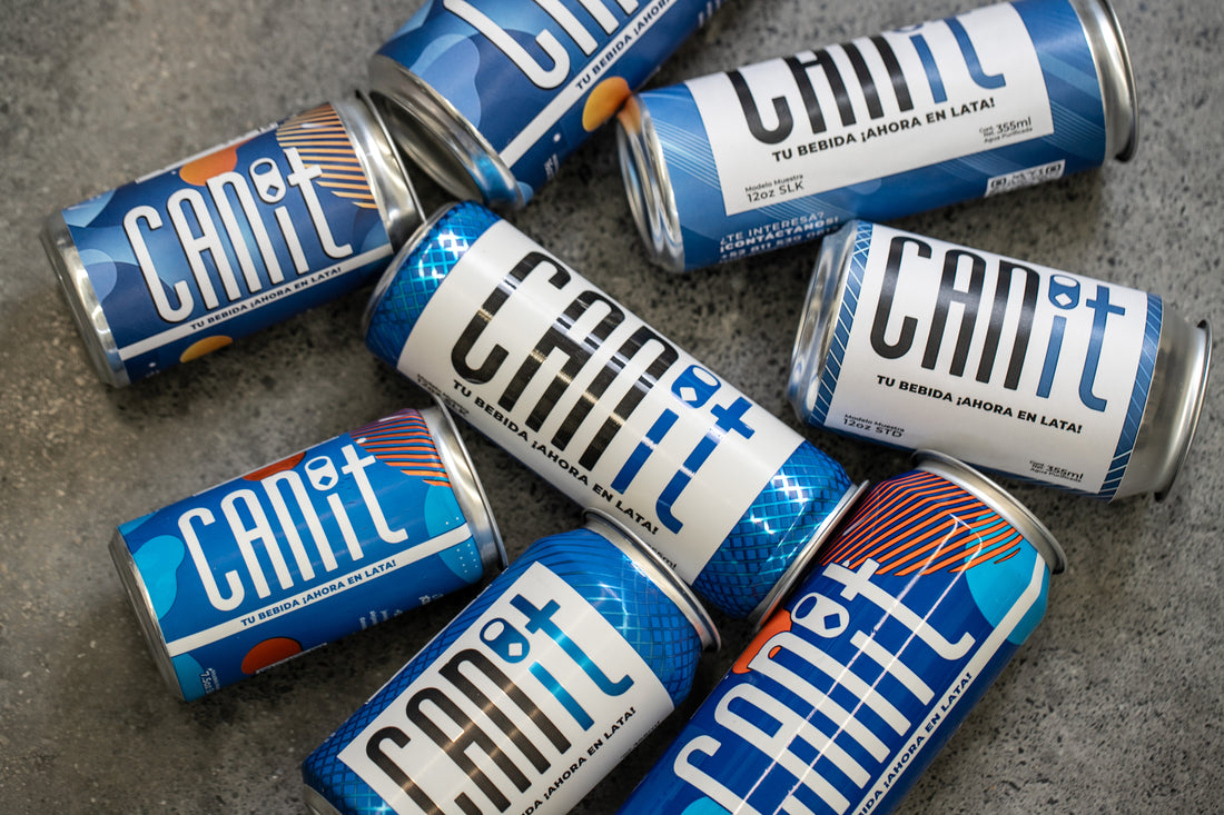 Página de inicio – Canit.mx